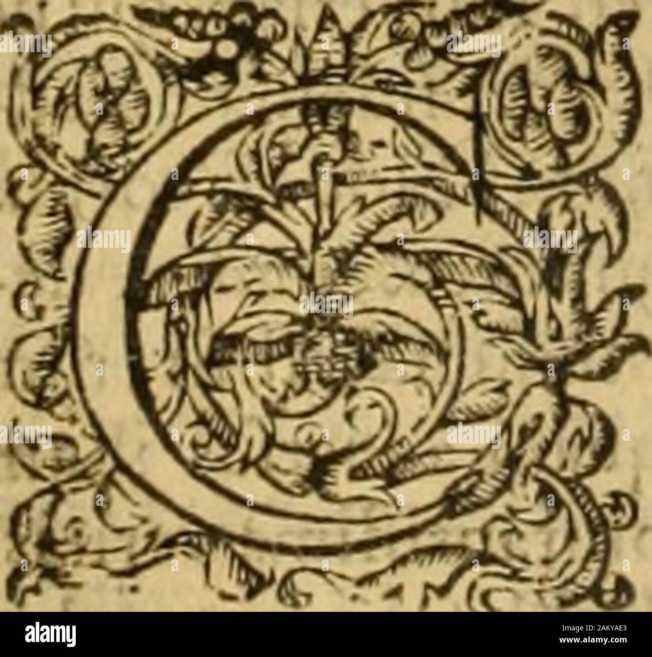 Ad unum omnes hi-res stock photography and images - Alamy