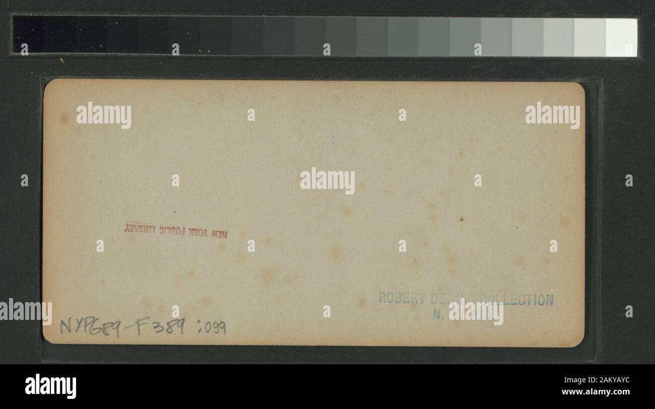 South Dome, (6000 feet high) from head of Valley by John P. Soule ...