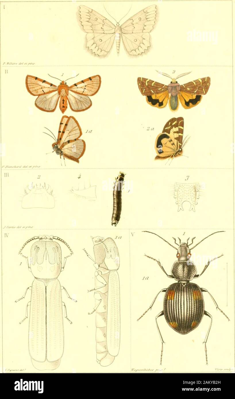 Nore s hi-res stock photography and images - Alamy