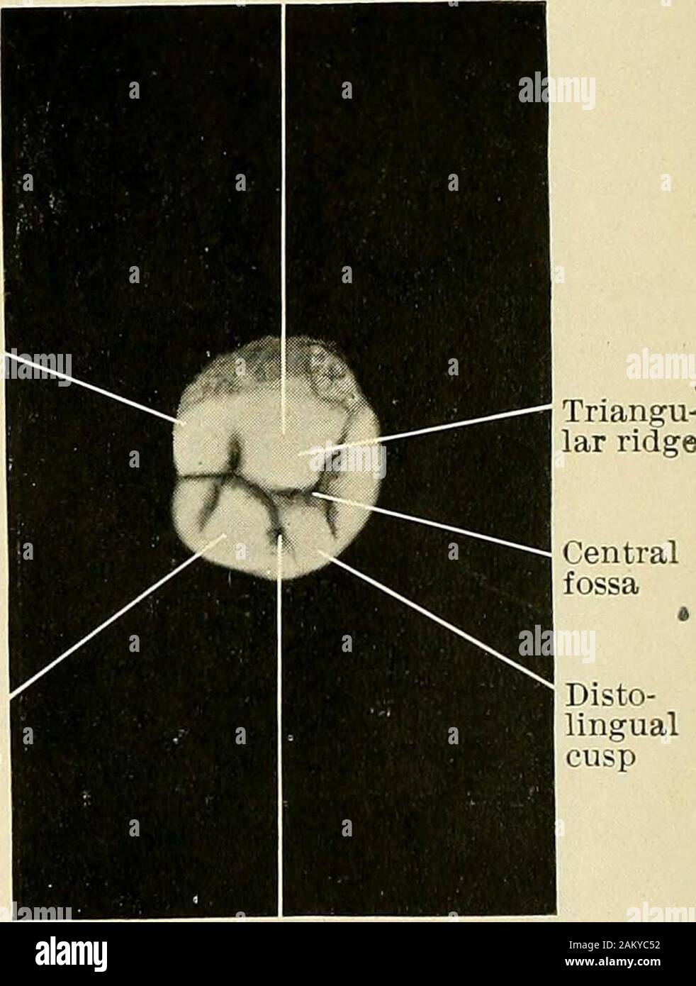 Pid triangle hi-res stock photography and images - Alamy
