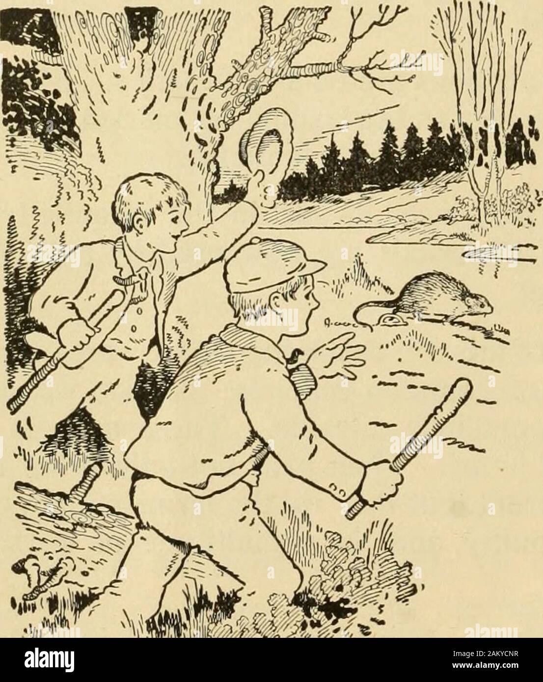 Beaver trap old hi-res stock photography and images - Alamy