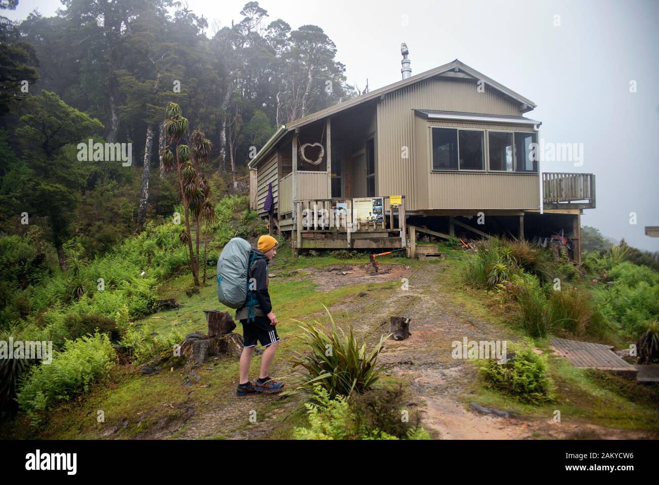 Walking the Old Ghost Road trail, Lyell to Seddonville, New Zealand ...