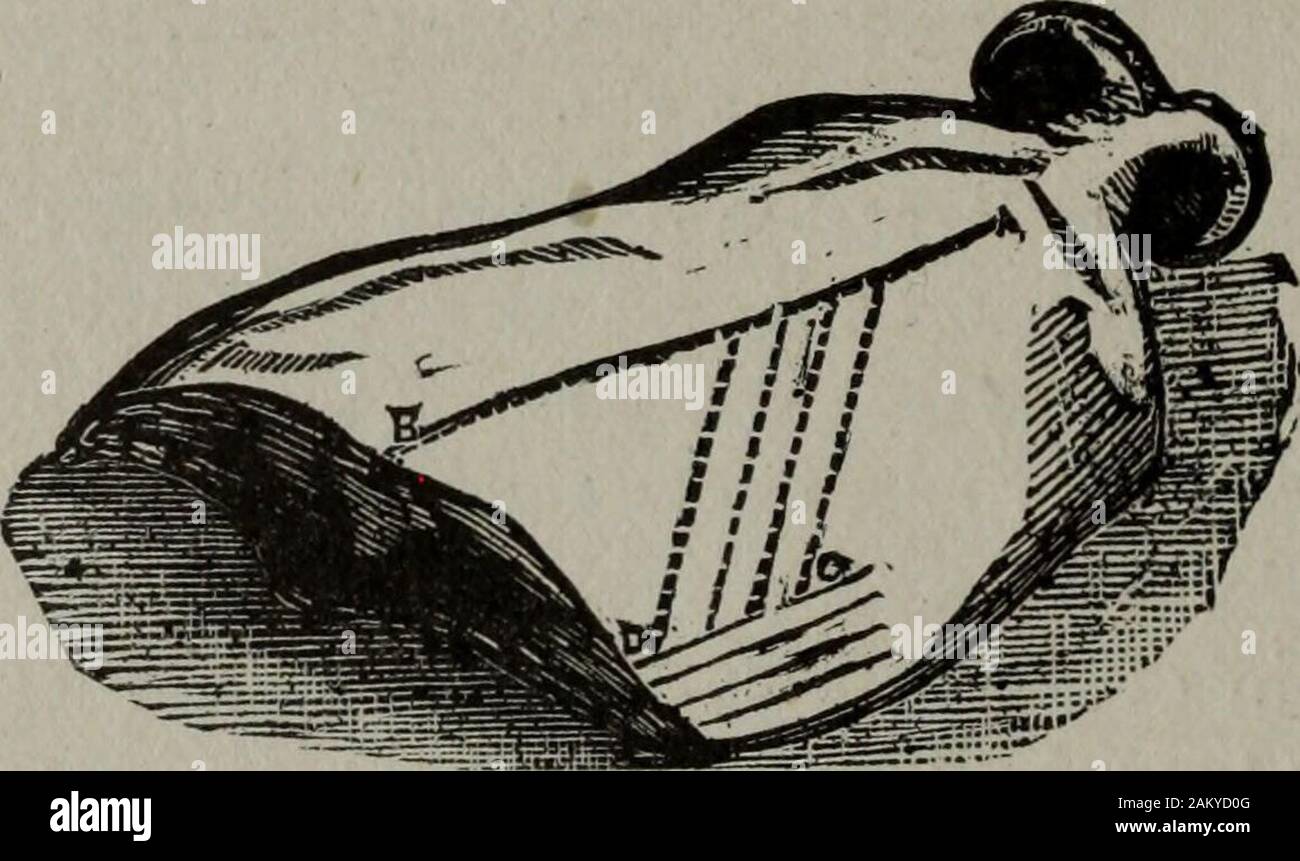 Aitch bone hi-res stock photography and images - Alamy