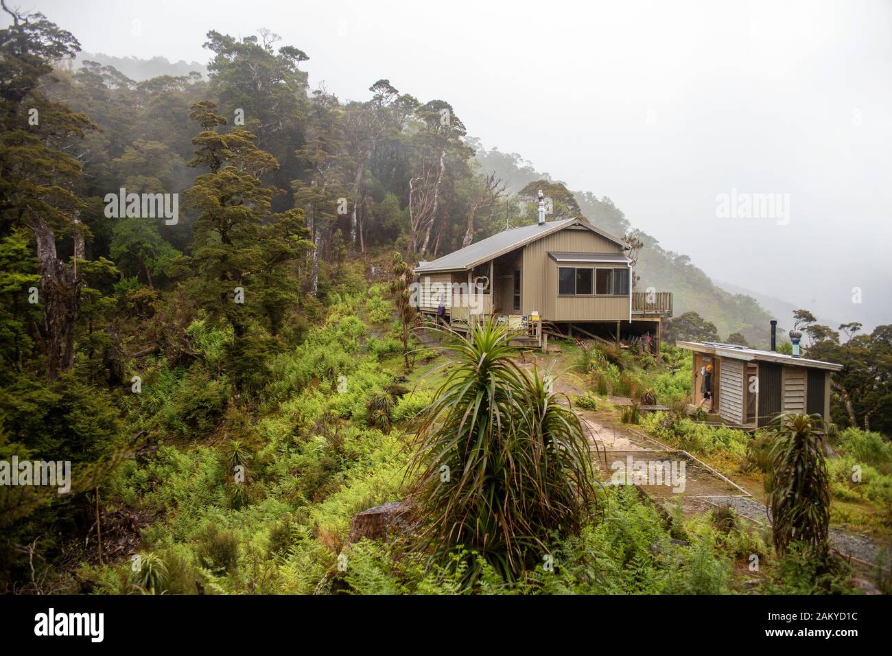 Walking the Old Ghost Road trail, Lyell to Seddonville, New Zealand ...