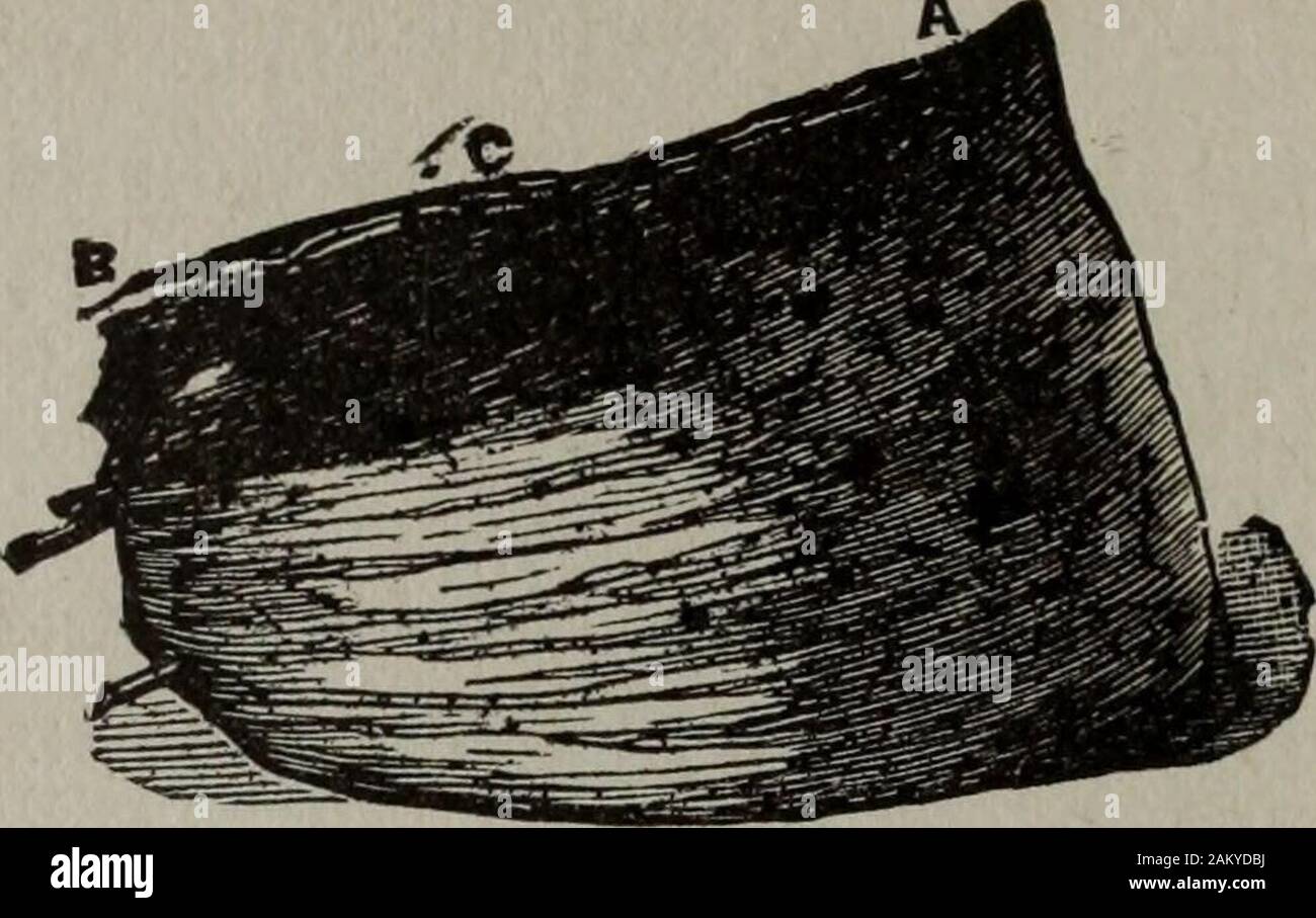 Aitch bone hi-res stock photography and images - Alamy