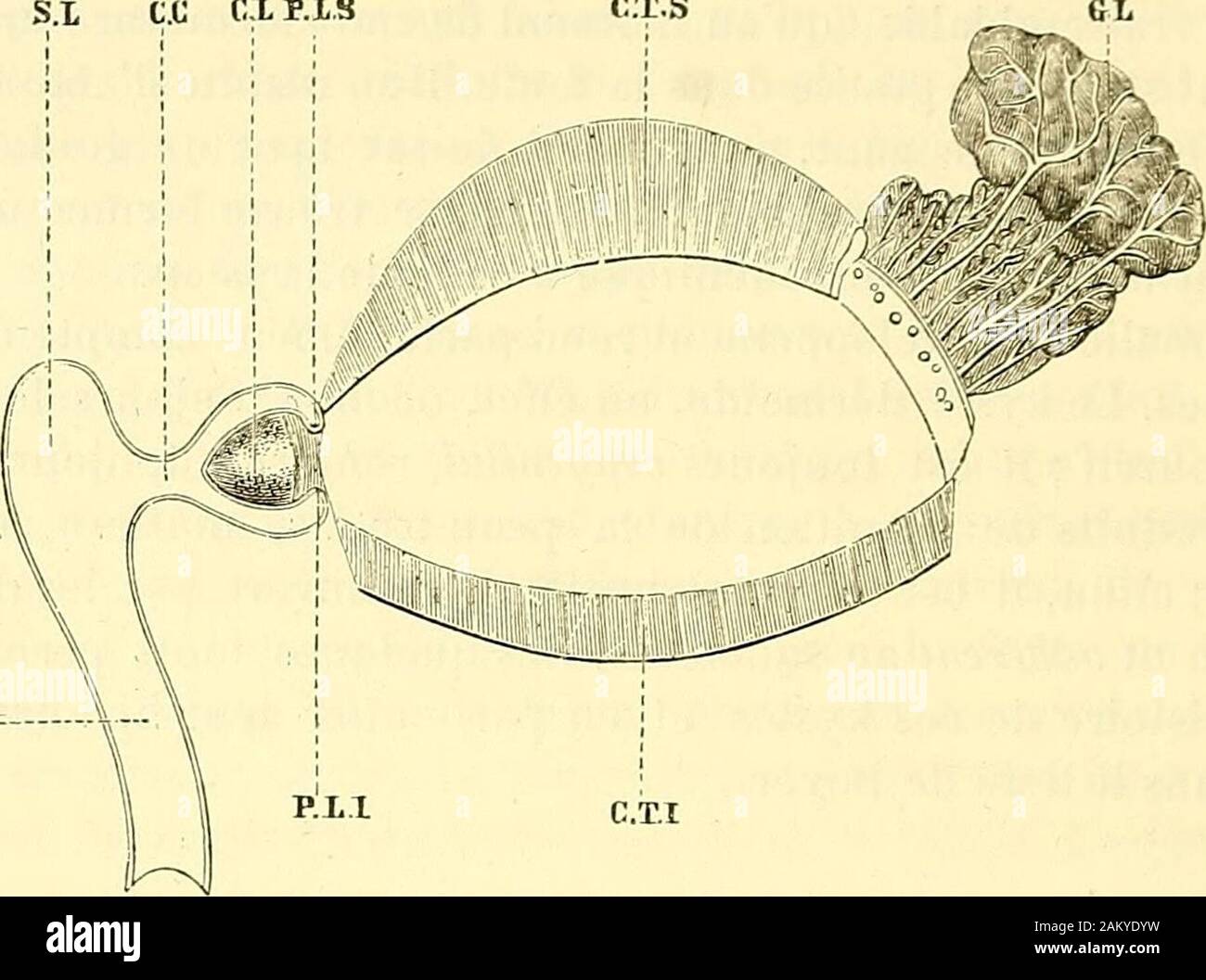 Le lac lacrymal hi-res stock photography and images - Alamy