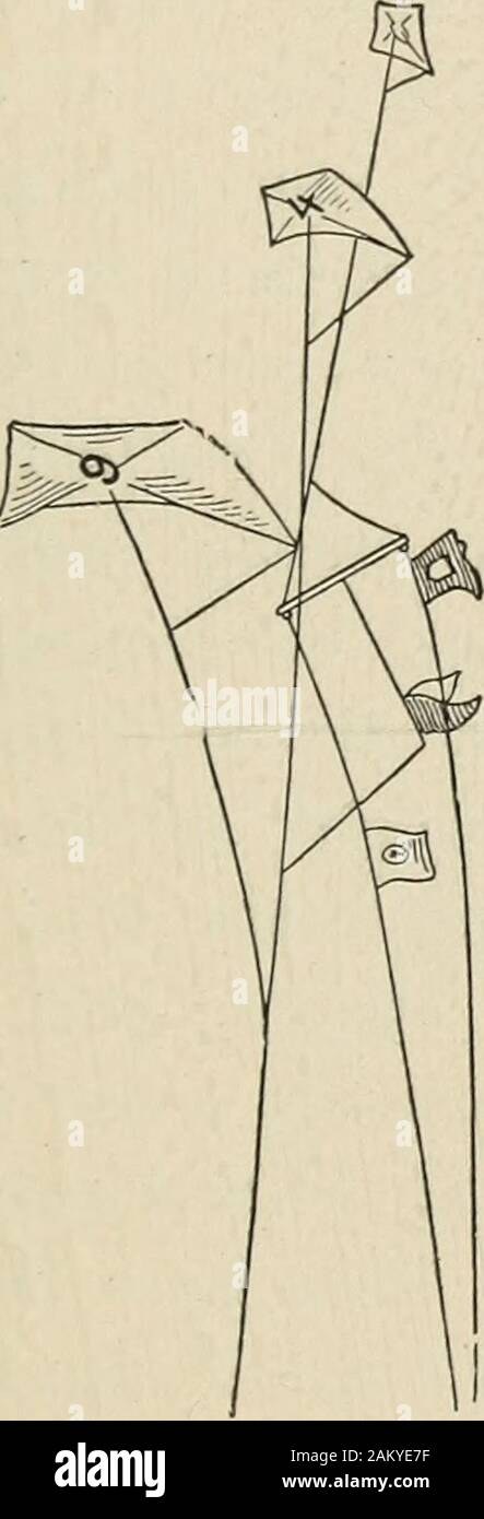 Pigeon feet string hi-res stock photography and images - Alamy