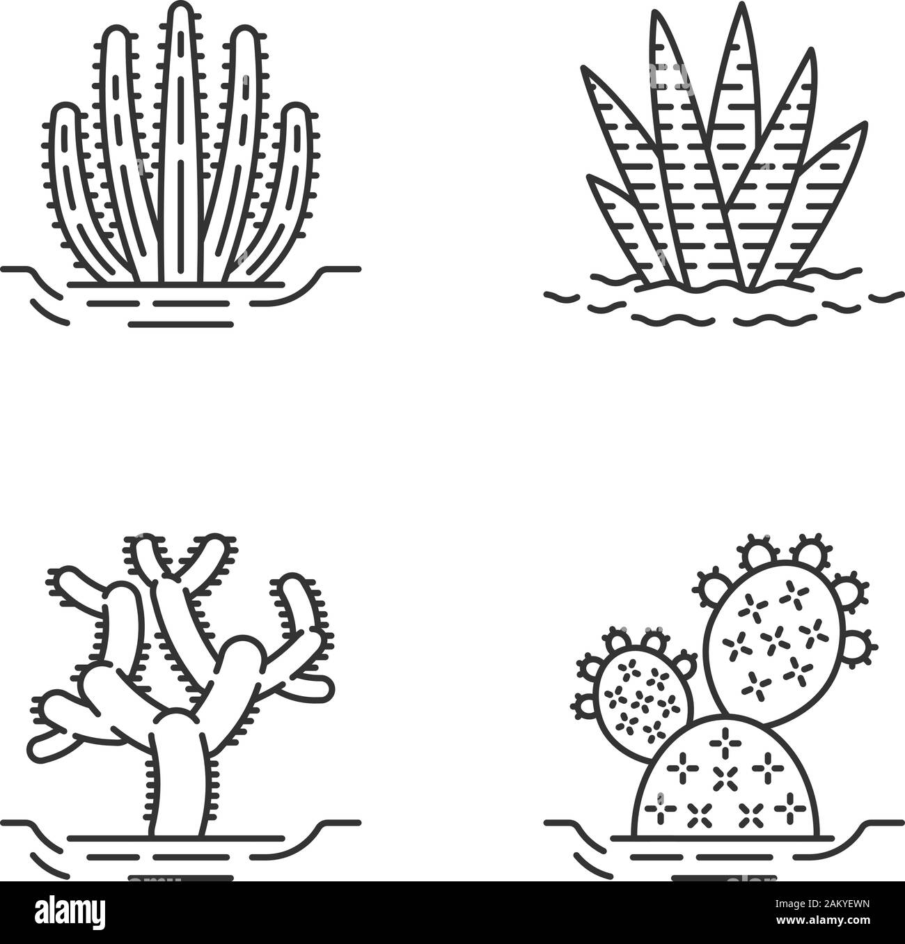 Wild cacti in ground linear icons set. Tropical succulent. Spiny plant ...