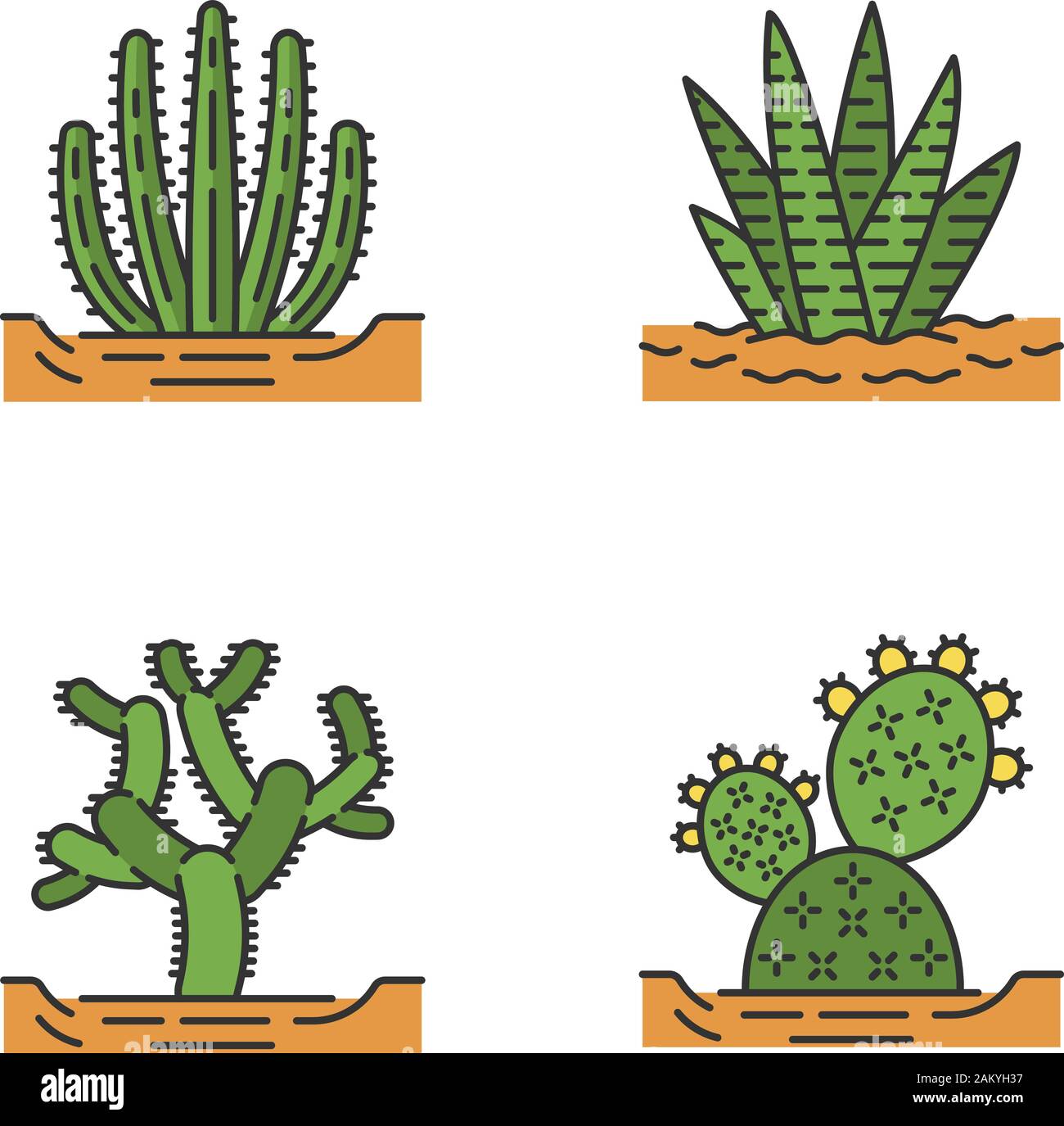 Wild cacti in ground color icons set. Tropical succulent. Spiny plant ...