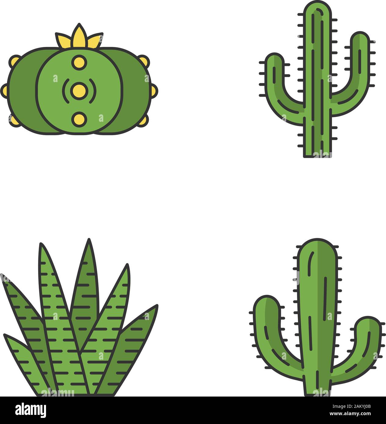 Wild cactus color icons set. Succulents. Cacti collection. Saguaro ...