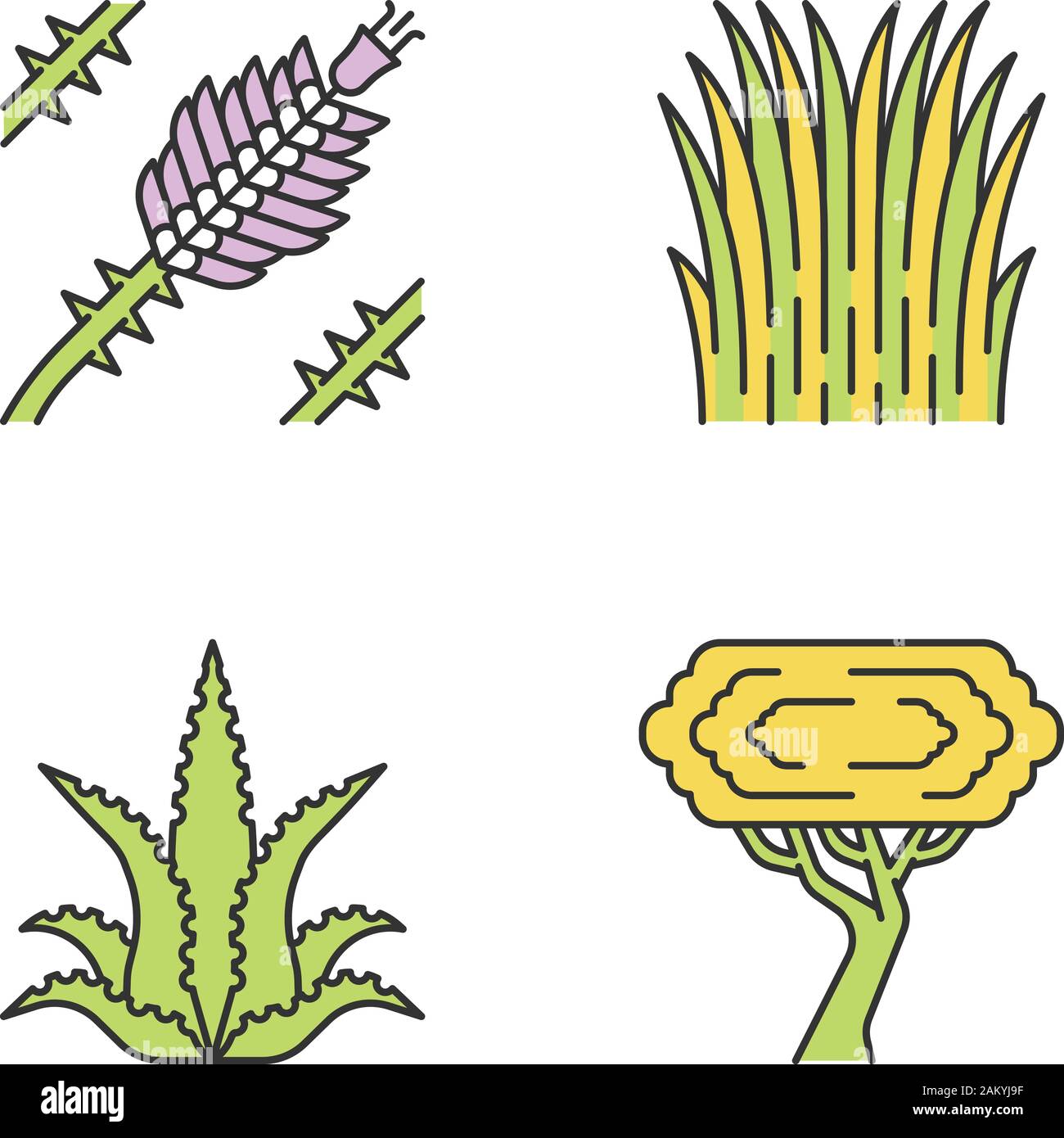 Palo verde Stock Vector Images - Alamy