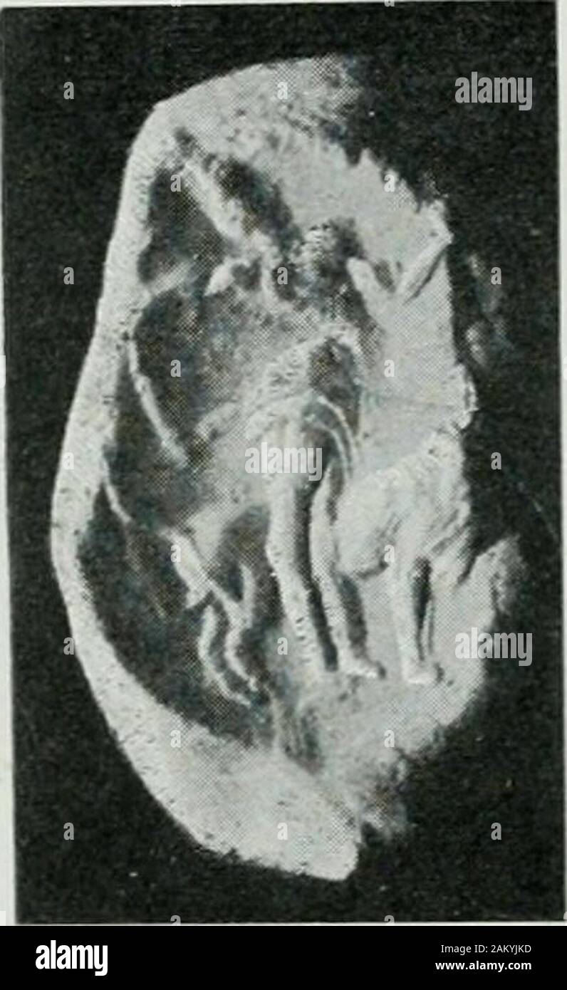 Phoenician alphabet hi-res stock photography and images - Alamy