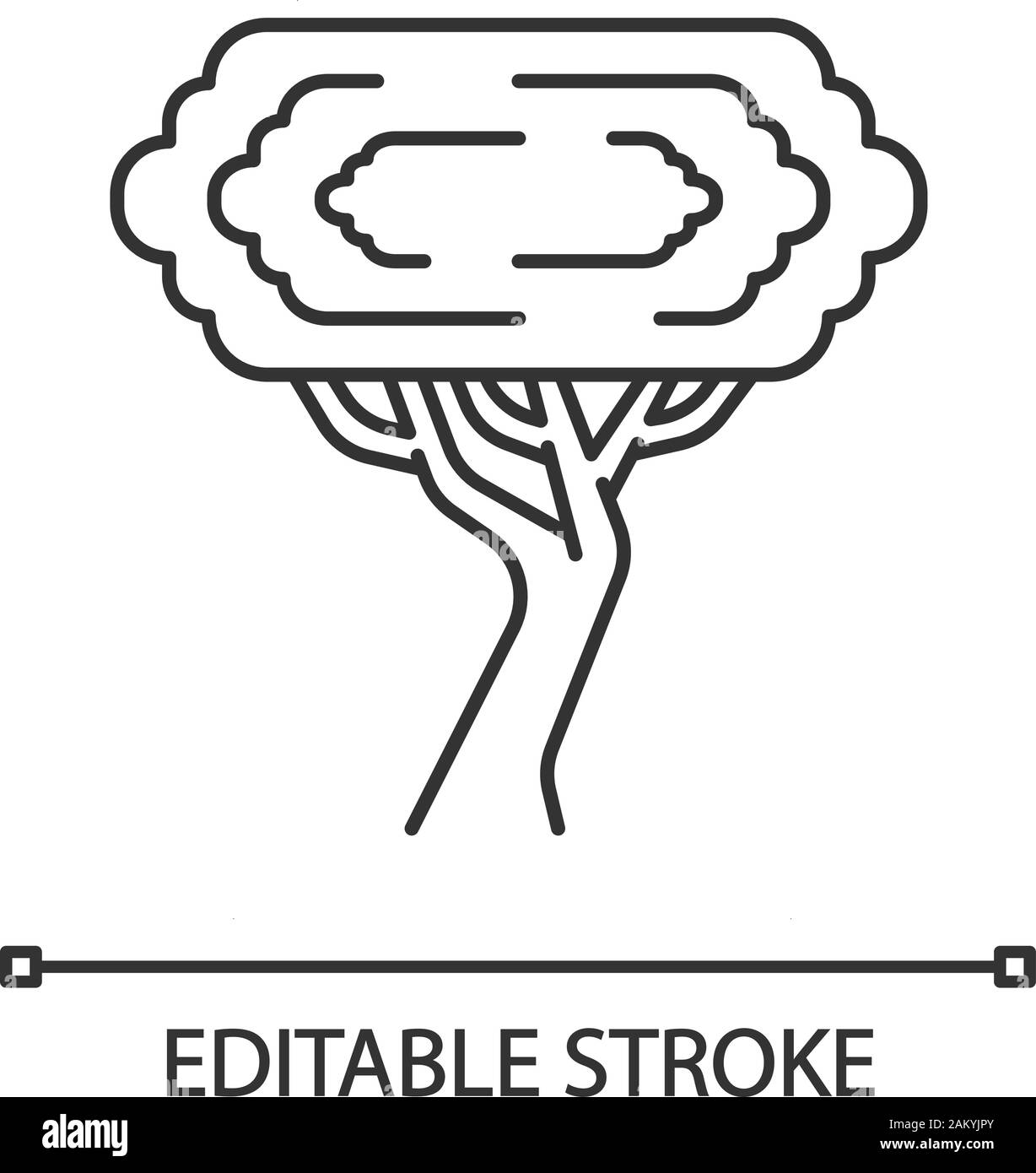 Blue palo verde parkinsonia florida Black and White Stock Photos ...