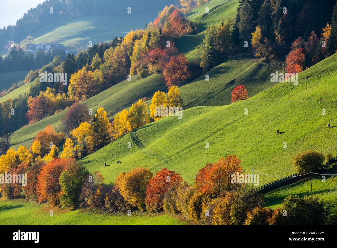 Autumn Santa Magdalena famous Italy Dolomites mountain village environs ...