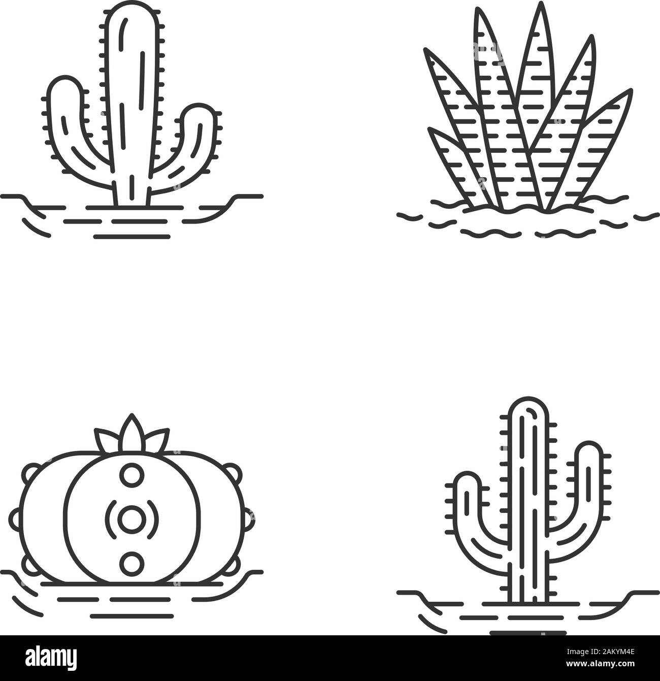 Wild cactuses in ground linear icons set. Tropical succulents. Spiny ...