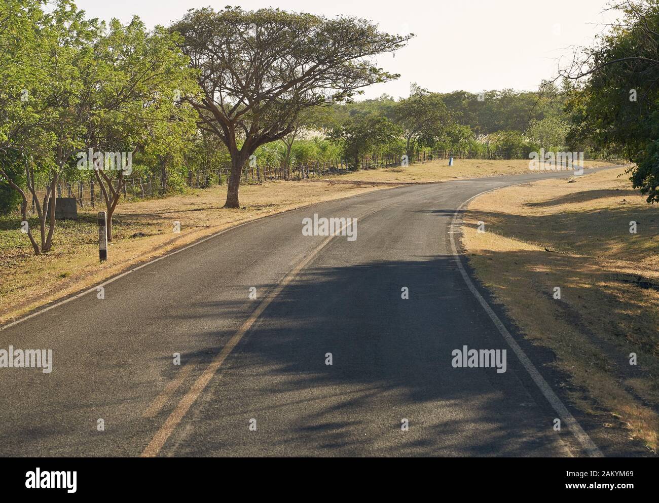 Asphalt country empty road on bright sunny day Stock Photo - Alamy
