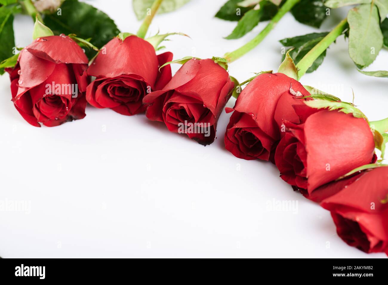 Red roses background. Frame from red flowers Stock Photo - Alamy