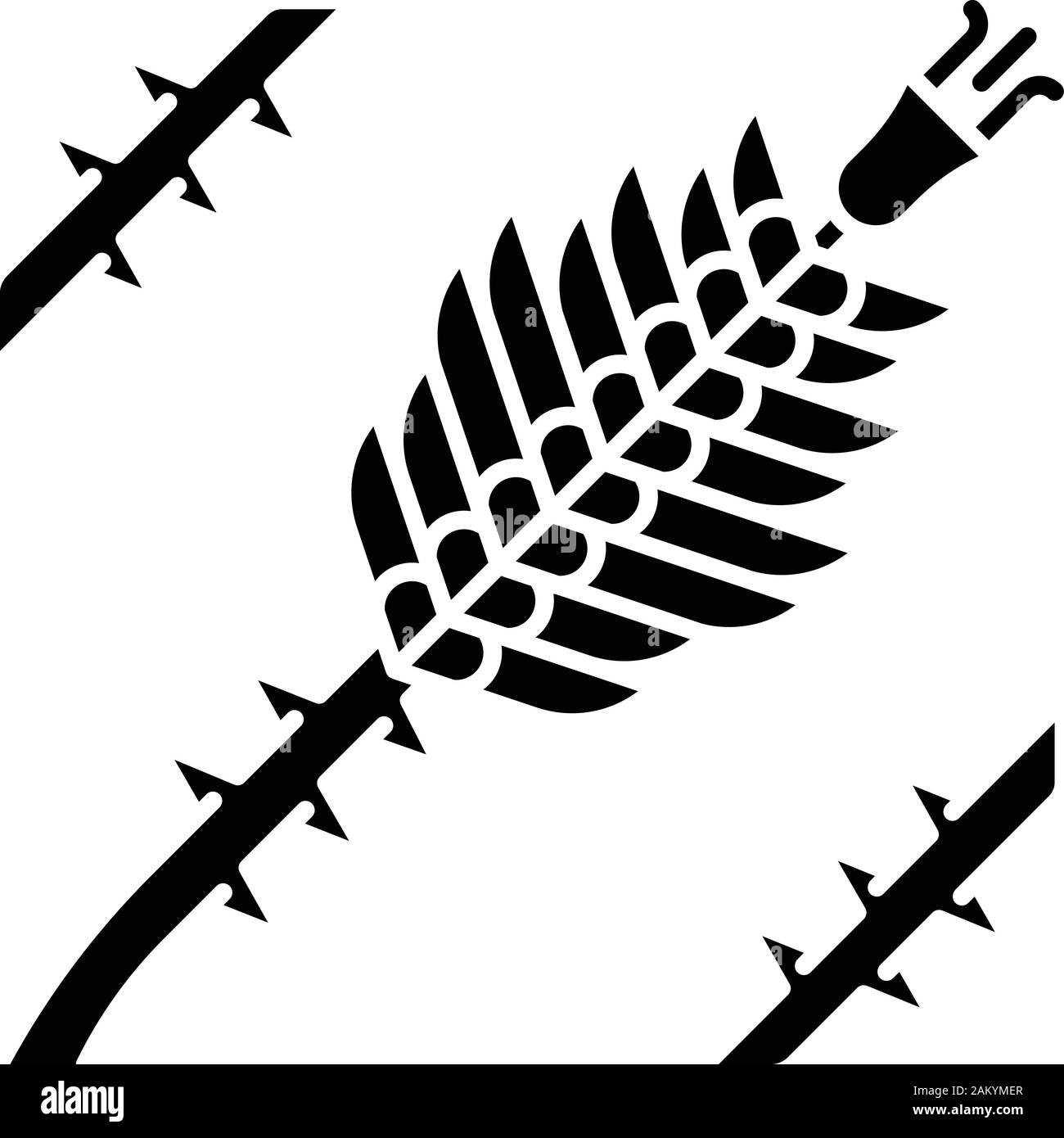 Ocotillo plant Stock Vector Images - Alamy