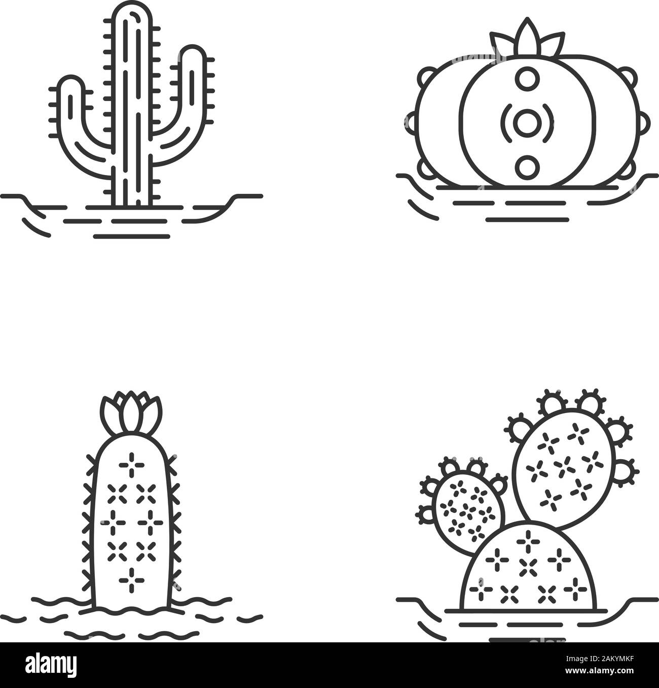 Wild cactuses in ground linear icons set. Spiny plant. Green succulents ...