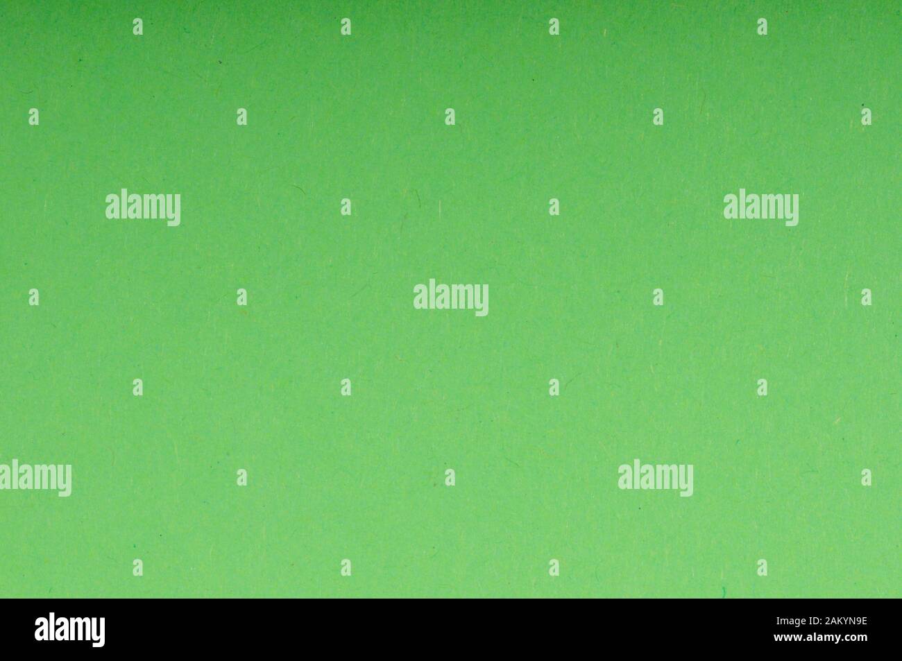 Green color palette hi-res stock photography and images - Alamy