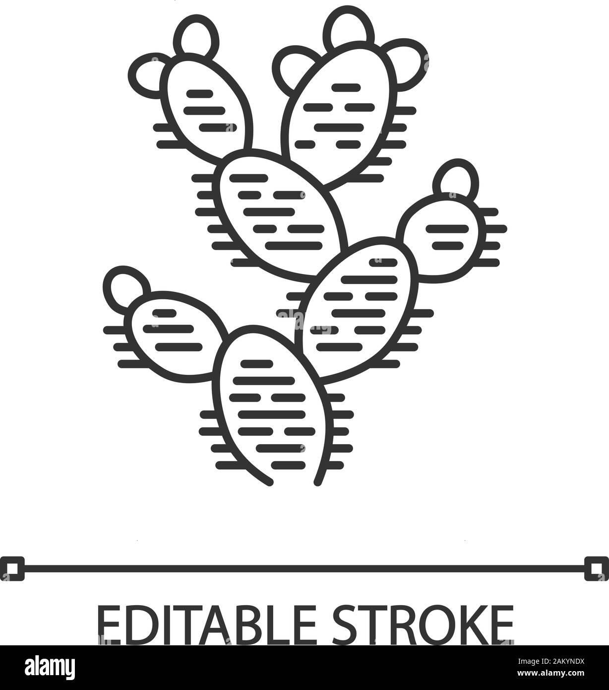 Prickly pear linear icon. Opuntia. Wild paddle cactus. Mexican nature ...