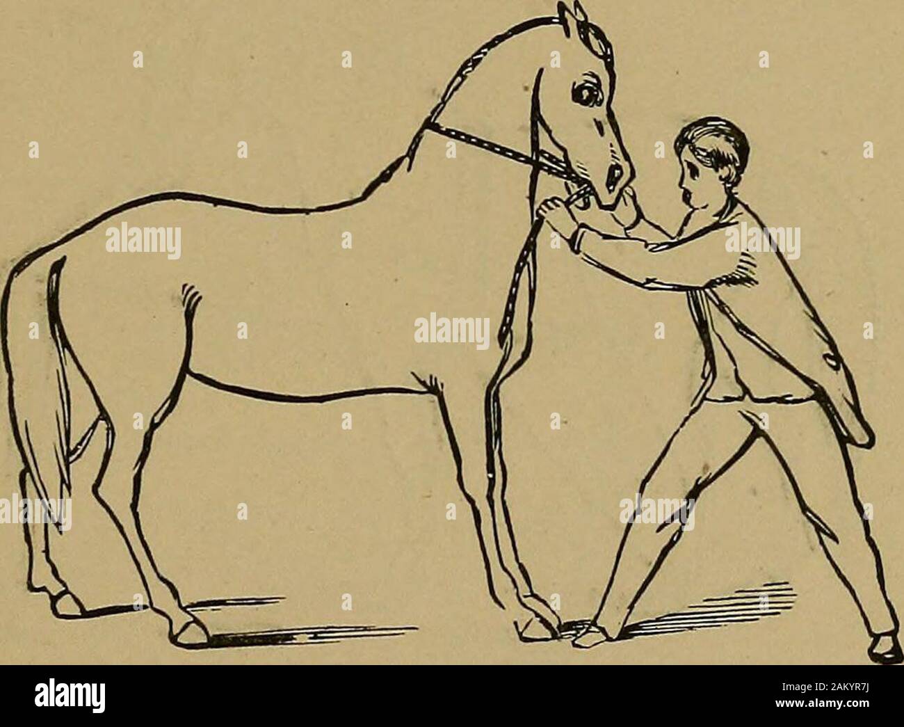 Inmotion hi-res stock photography and images - Alamy