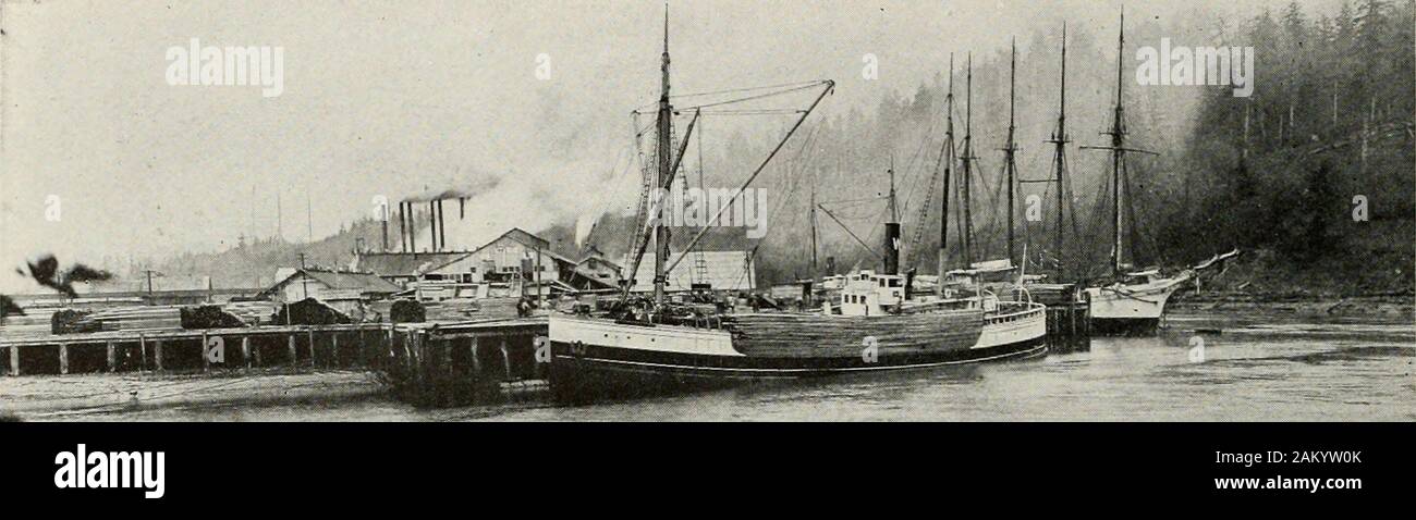 Puget sound lumber industry hi-res stock photography and images - Alamy