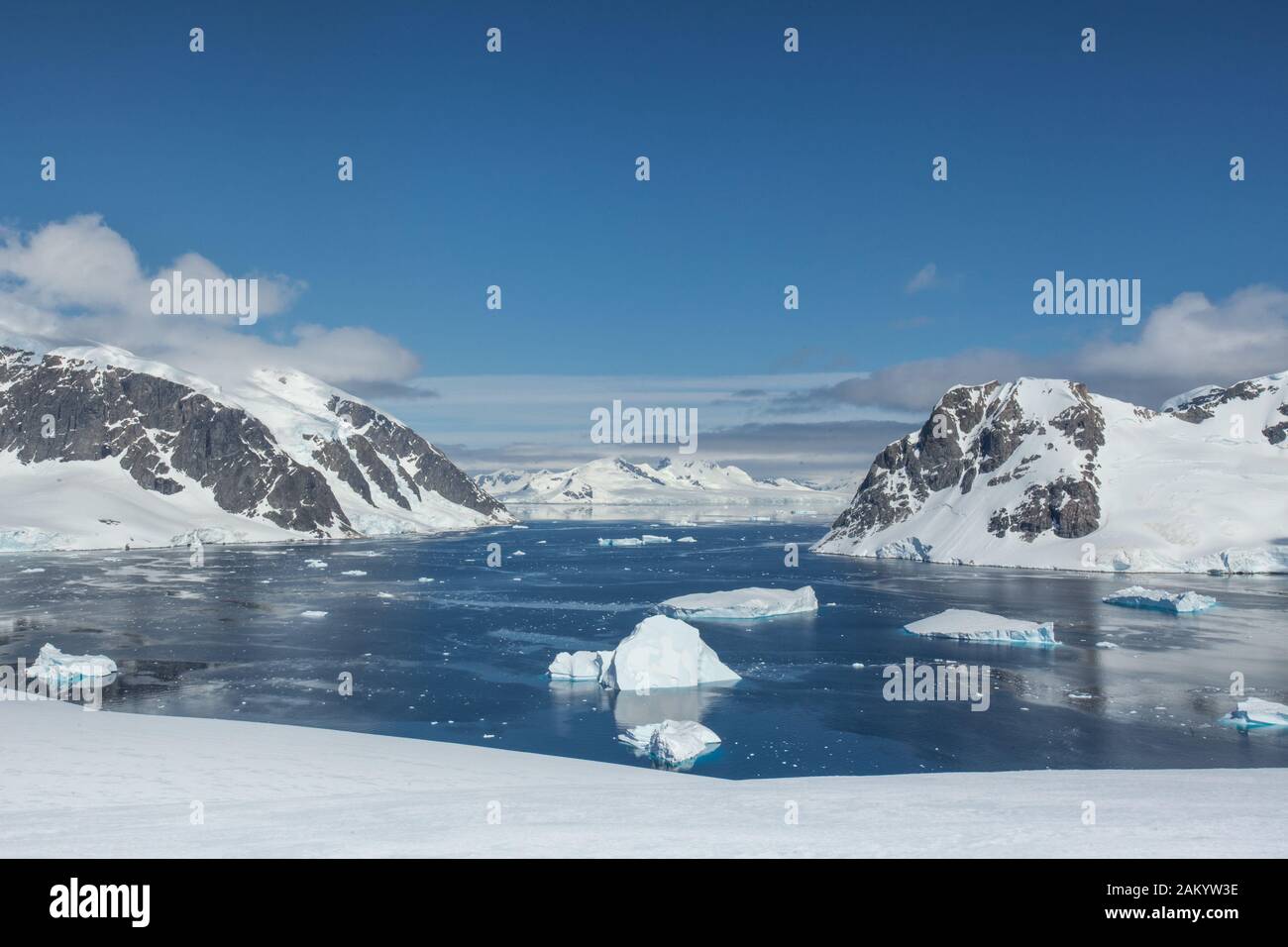 Danco Island, Antarctic Peninsula, Antarctica Stock Photo - Alamy