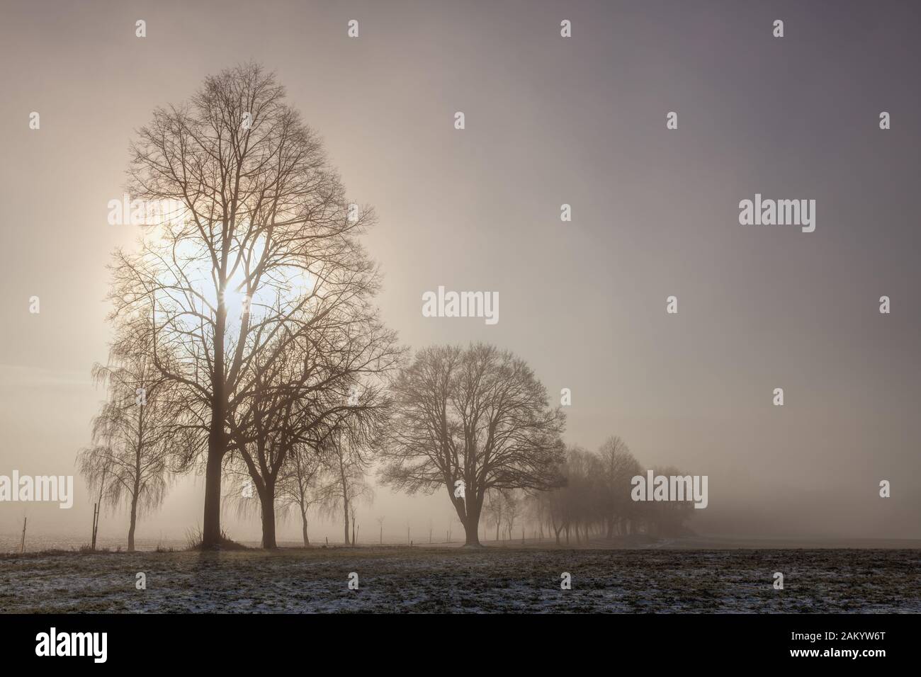 Winter landscape in the dramatic morning mist. Mysterious scenery Stock ...