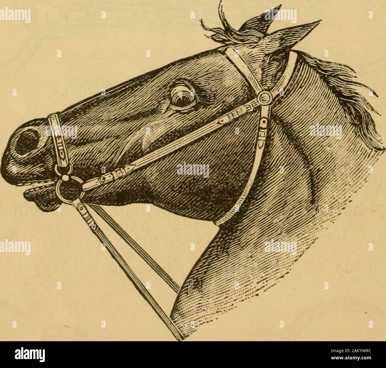 Improved patent horse power hi-res stock photography and images - Alamy