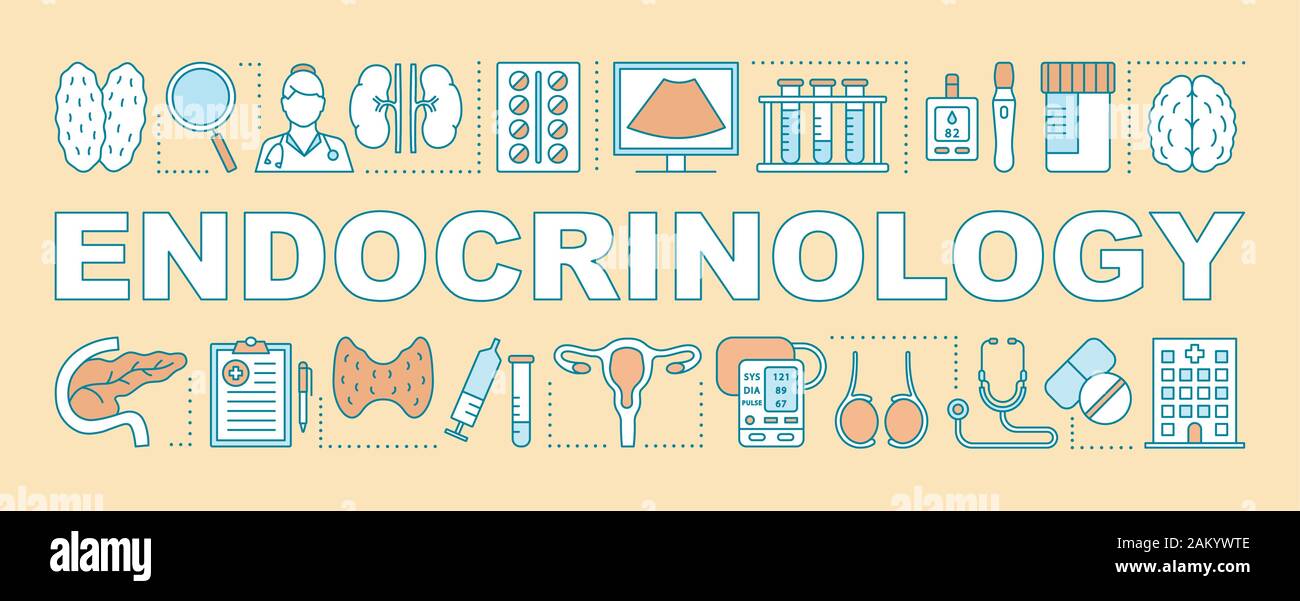 Endocrinology word concepts banner. Endocrine glands disease. Diabetes ...