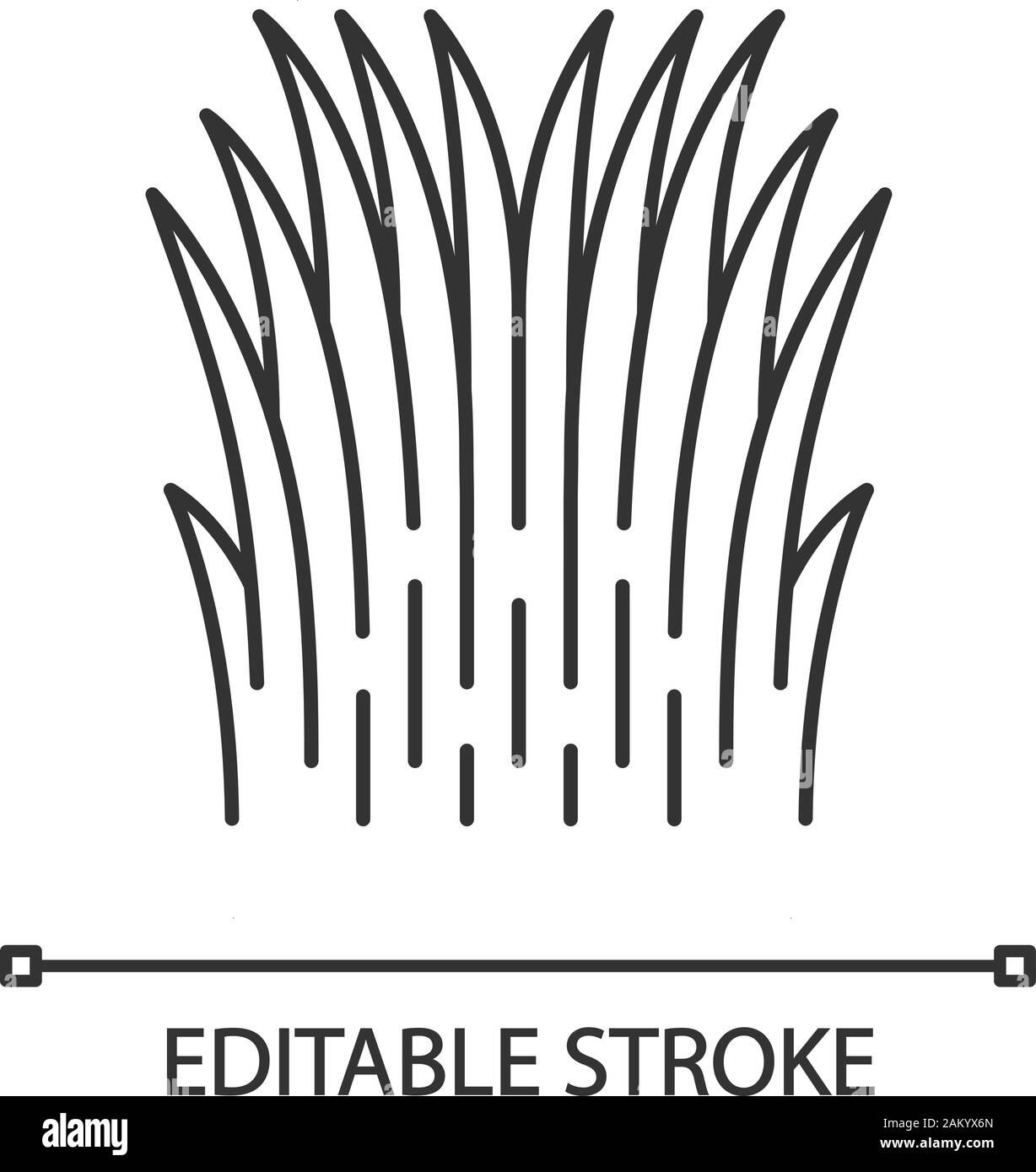 Mexican feathergrass Stock Vector Images - Alamy