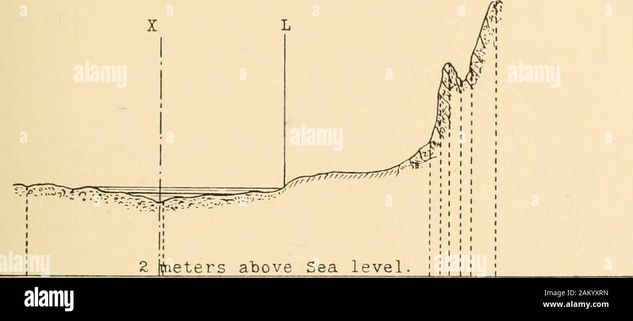 Costa Rica-Panama arbitrationReport submitted to the representatives of Costa Rica . X ...