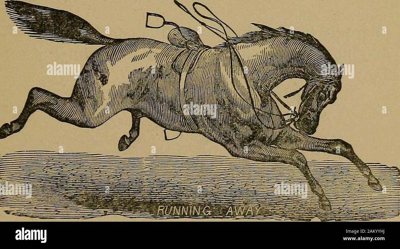 Gleason's Veterinary hand-book and system of horse taming .. . tick ...