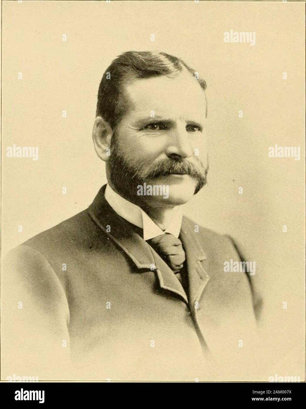 Elmer the bull hi-res stock photography and images - Alamy