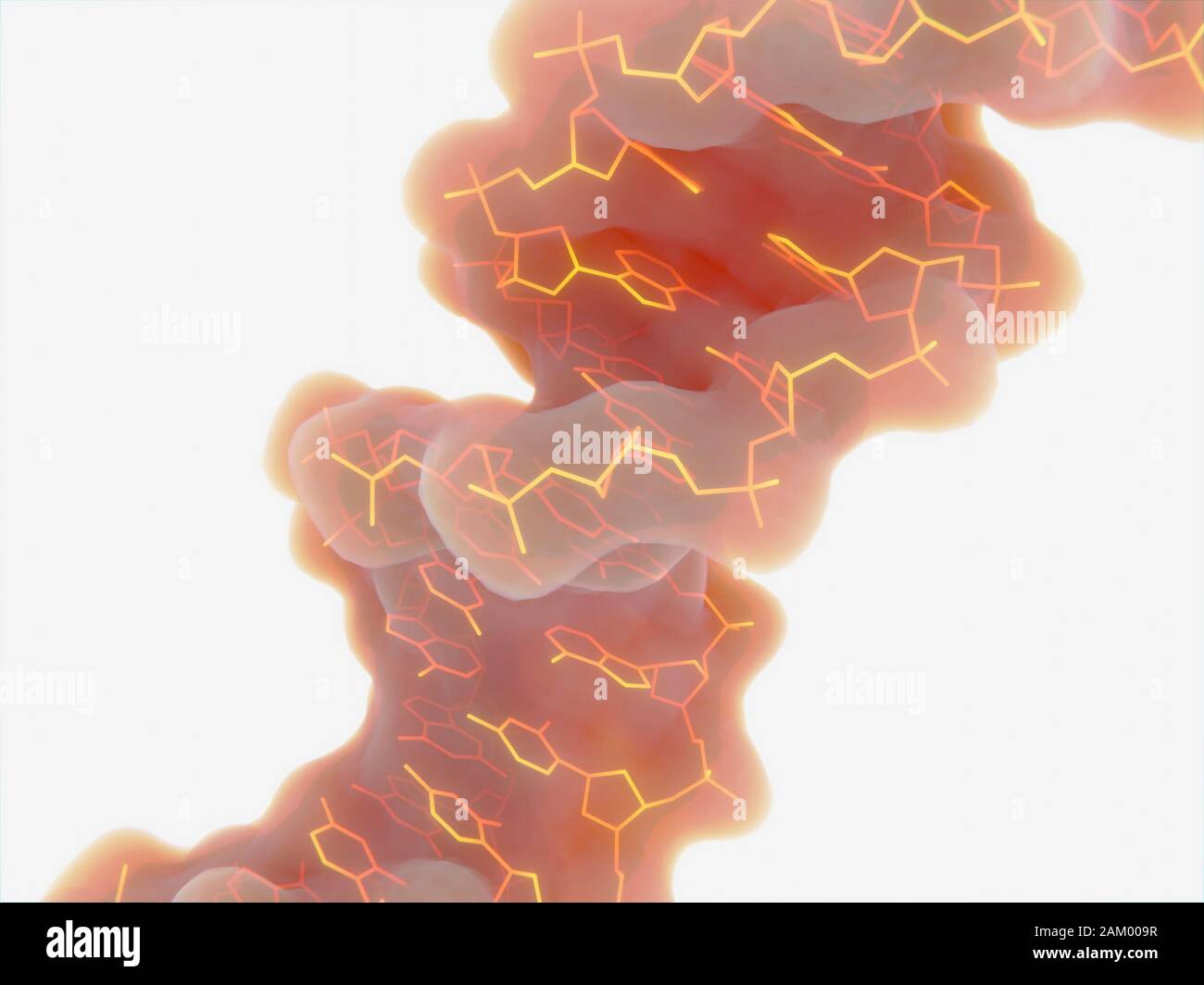 DNA strand, illustration Stock Photo - Alamy