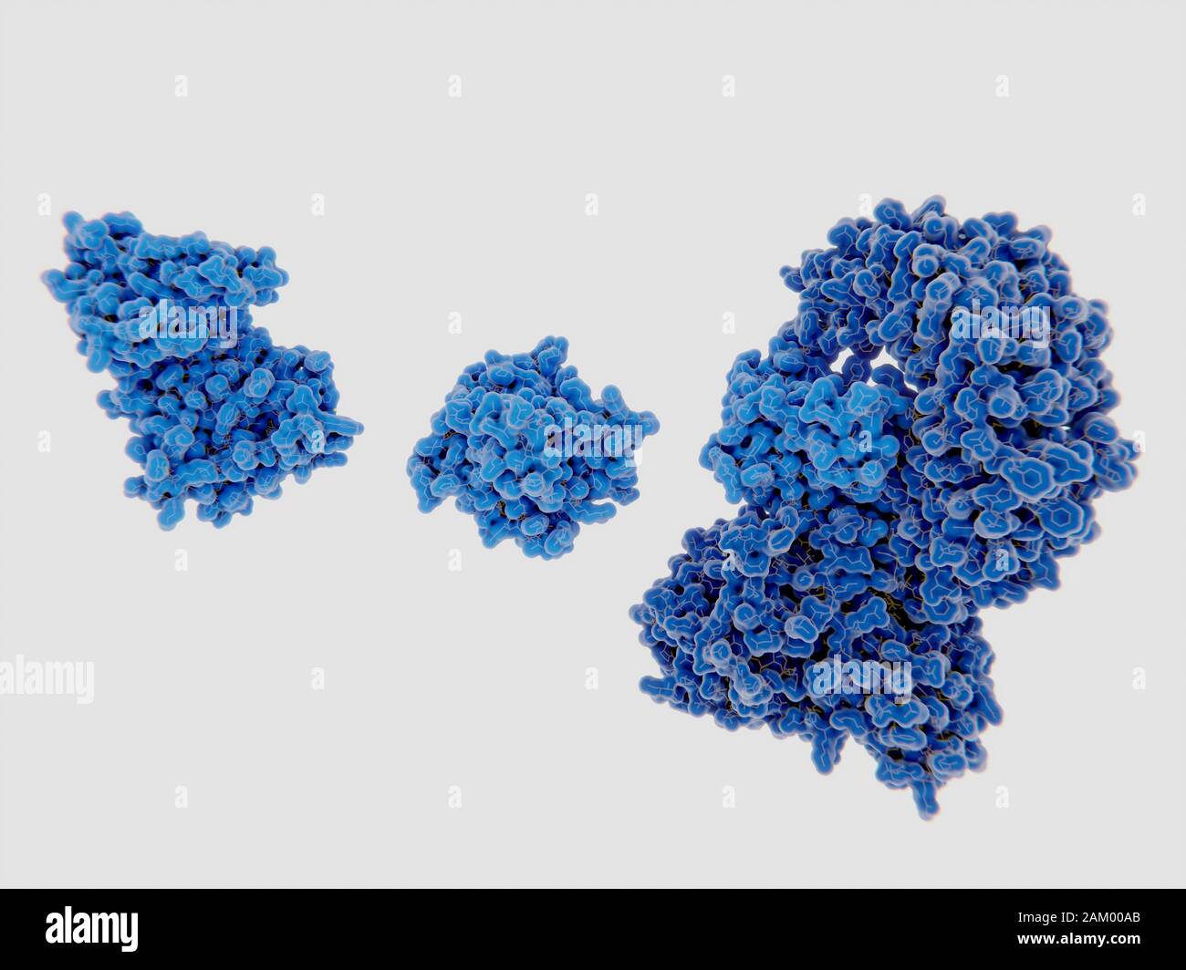 NEK7 kinase binding to NRLP3 inflammasome, molecular model Stock Photo ...