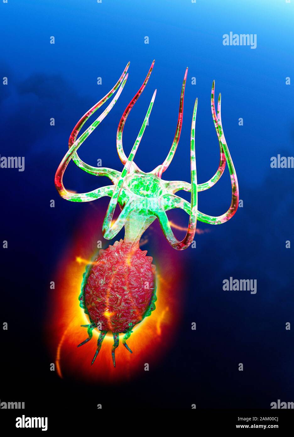 Alien lifeform, illustration Stock Photo - Alamy