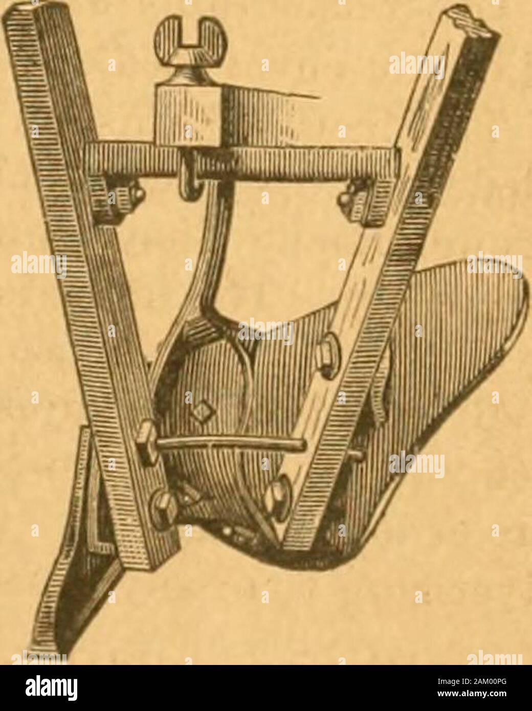 Draft horse rear view hi-res stock photography and images - Alamy