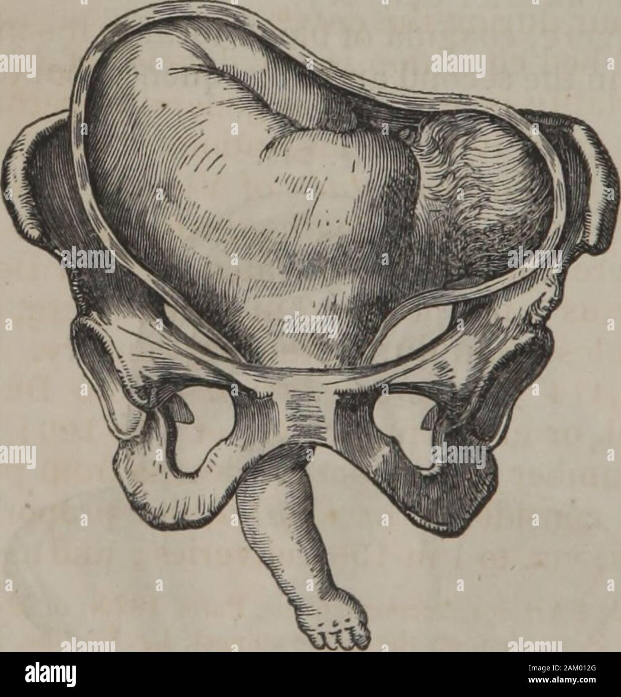 Vertex presentations hi-res stock photography and images - Alamy