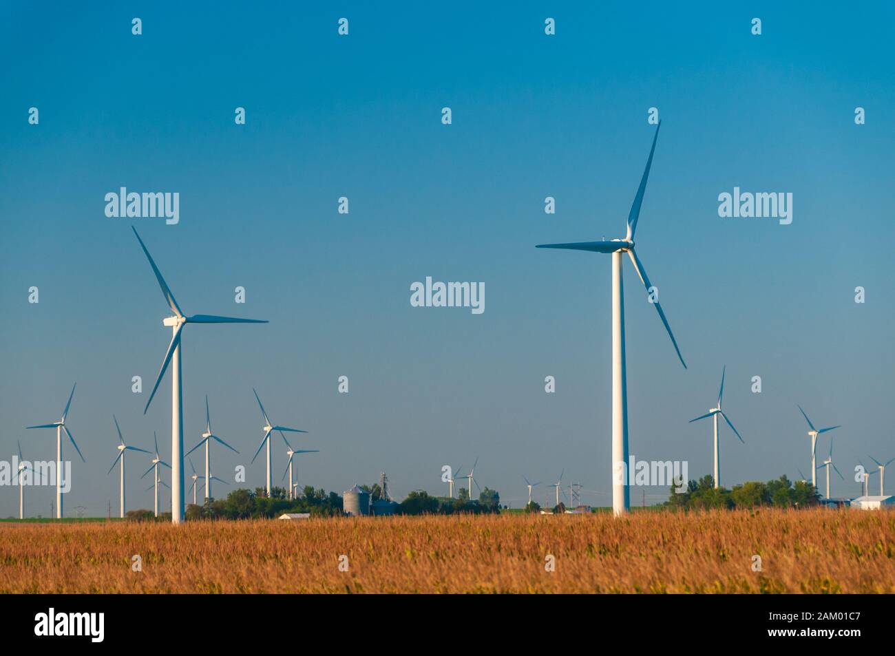 A field of large wind turbines in Dexter Minnesota, USA Stock Photo - Alamy