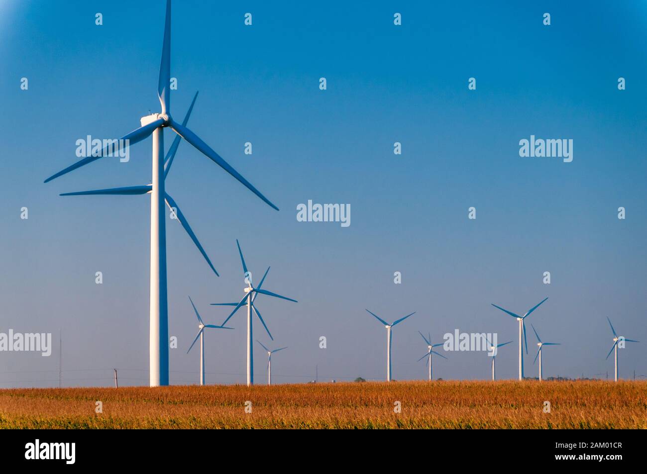 A field of large wind turbines in Dexter Minnesota, USA Stock Photo - Alamy
