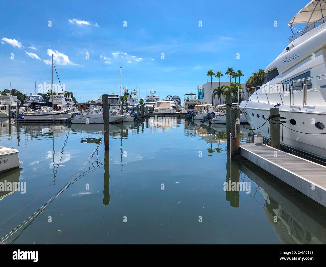 Sailing boat harbor during blue sky day in downtown San Diego port ...