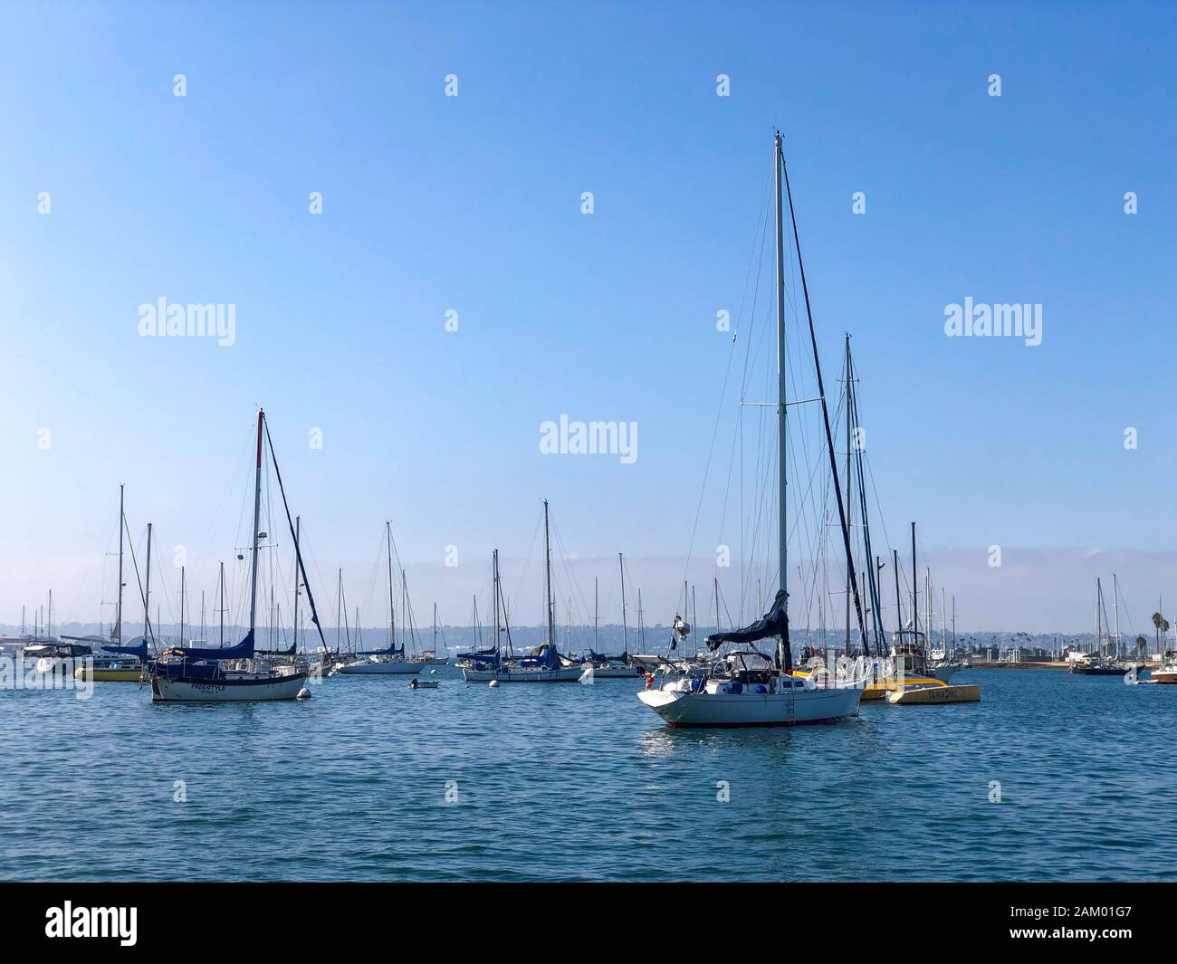 Sailing boat harbor during blue sky day in downtown San Diego port, California, USA November ...