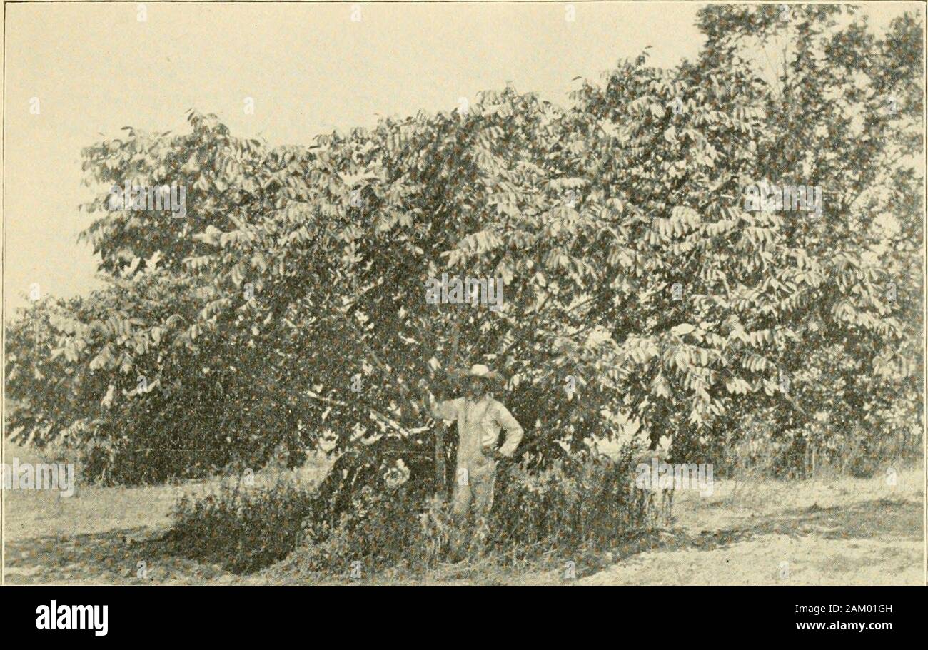 Worthy contracts hi-res stock photography and images - Alamy