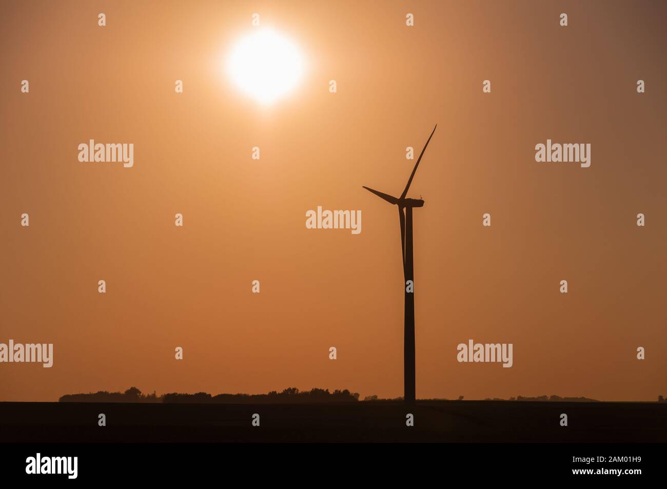 A field of large wind turbines in Dexter Minnesota, USA Stock Photo - Alamy
