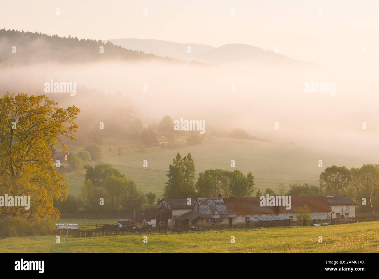 Farm in Polerieka village in Turiec region on a foggy morning, Slovakia ...