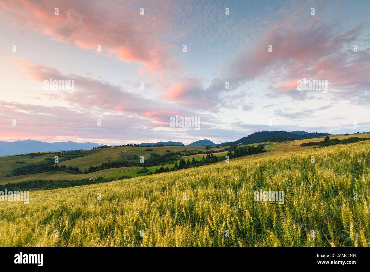 Rural landscape with pastures and fields in Turiec region, central ...