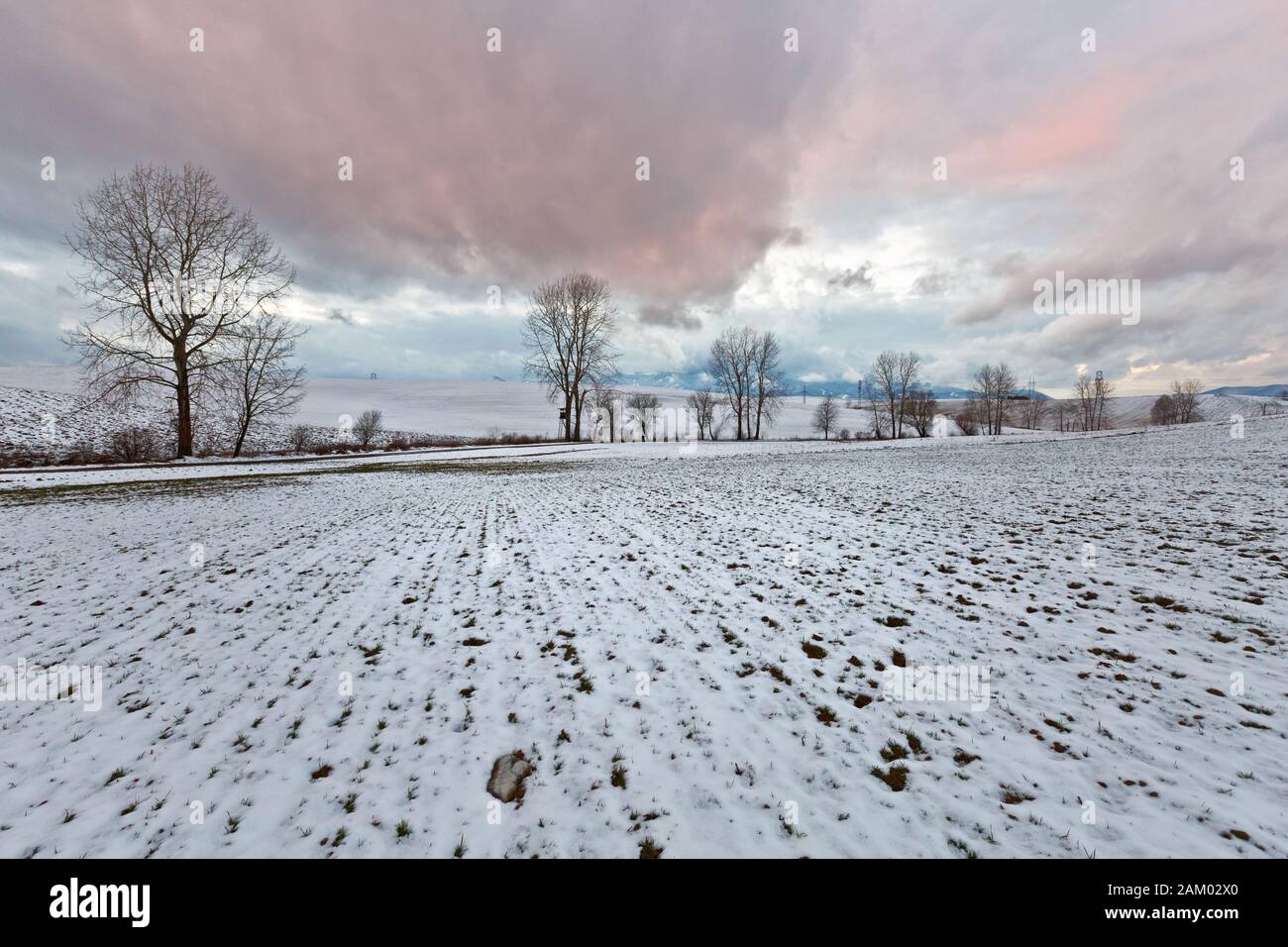Trees among the fields of northern Slovakia Stock Photo - Alamy