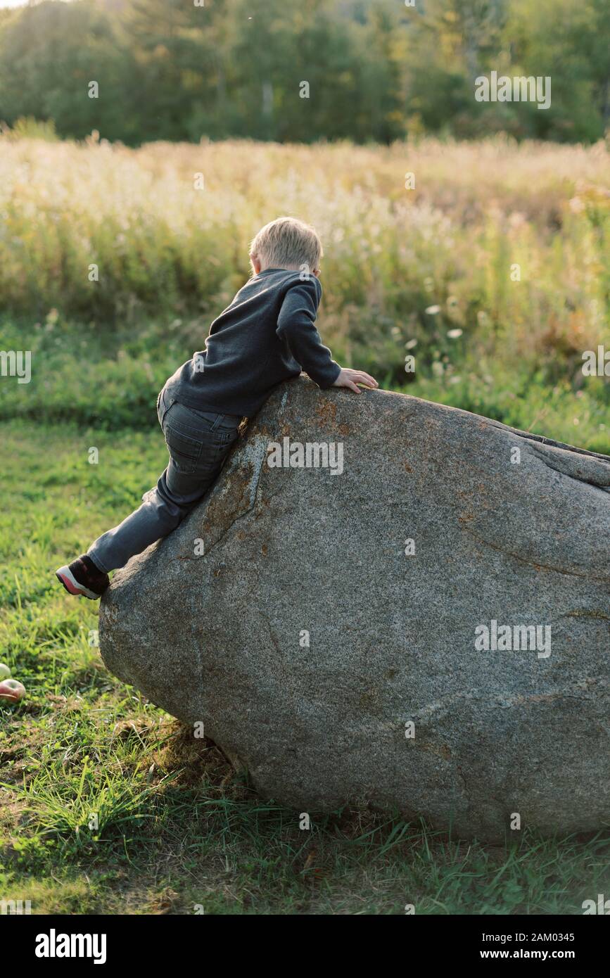 Boy climbing big tree hi-res stock photography and images - Alamy Boy climbing big tree hi-res stock photography and images - Alamy